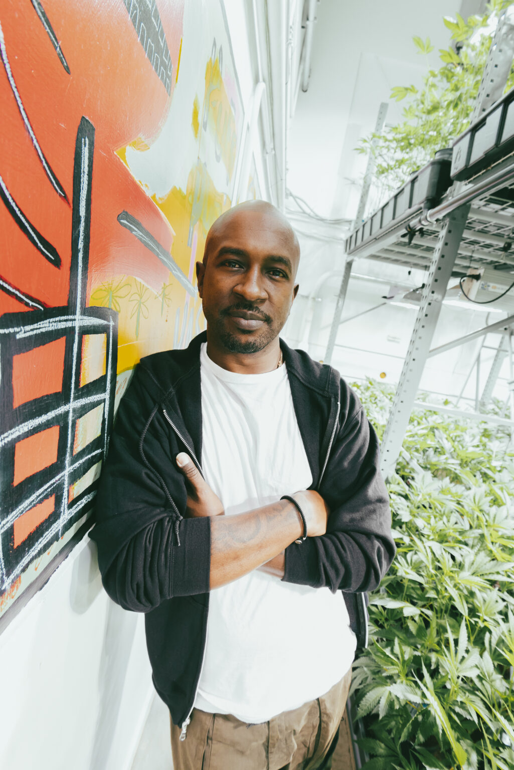 STEM Insights From Engineers and Scientists Pioneering Cannabis ...