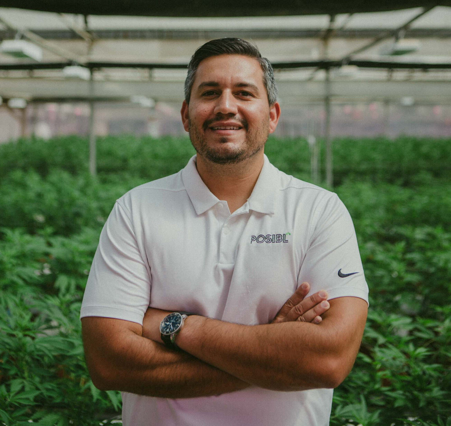 Pioneering a Cannabis Brand for the Latinx Community – Cannabis & Tech ...