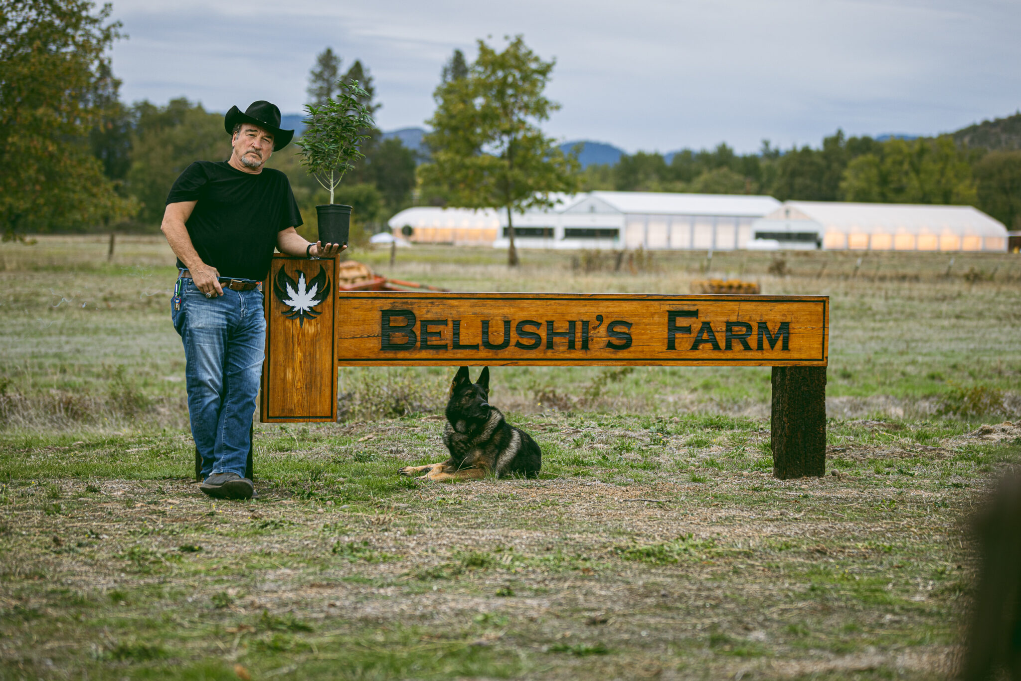 Belushi’s Farm is Making Something Special in 14 States and Growing ...